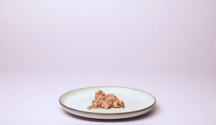 Fuzzball - Premium Cat Food Subscription