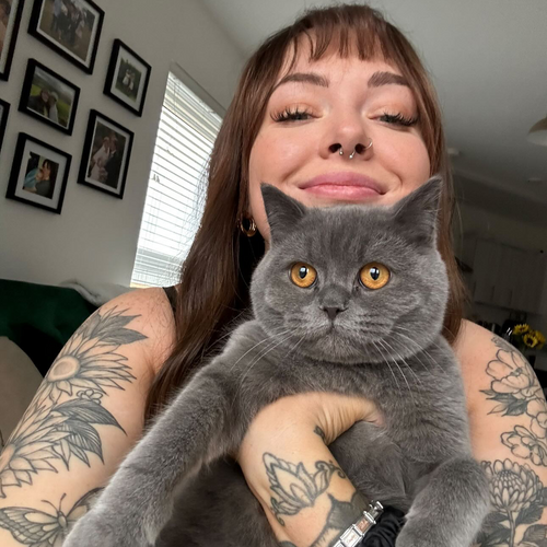 Fuzzball - Premium Cat Food Subscription